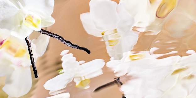 Parfums tendance | Sephora