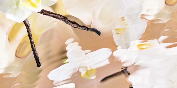 Best Vanilla Fragrances of 2026 | Sephora