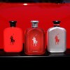 Polo Red - Ralph Lauren | Sephora