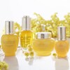 Divine Eyes - L'Occitane | Sephora