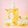 Orchid Antioxidant Beauty Face Oil - For Combination Skin - Herbivore ...