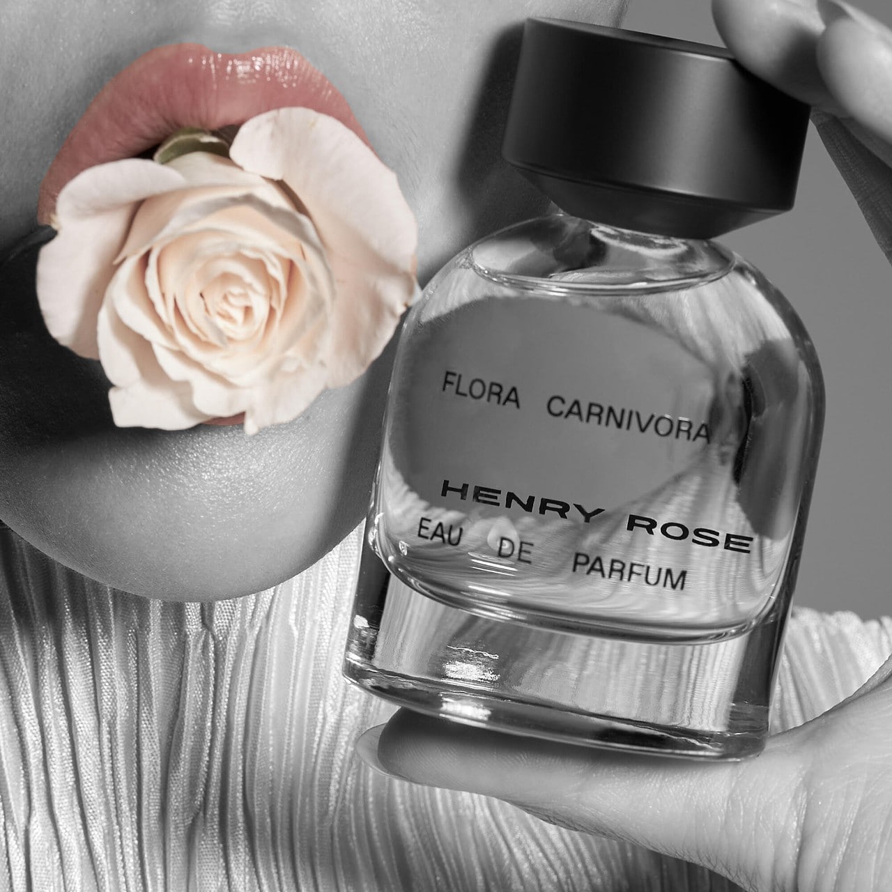 Carnivora Supplement