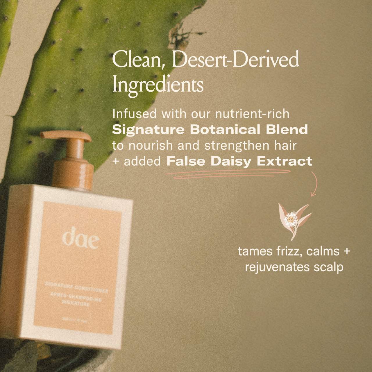 Dae Signature Conditioner | Hamilton Place