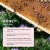 Honey Infused Hair Mask - Gisou | Sephora