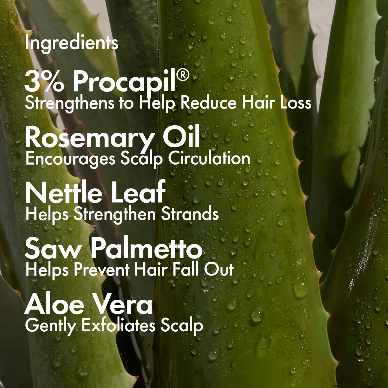 BondiBoost Procapil Hair & Scalp Tonic for Thinning Hair with Horsetail ...