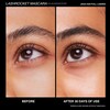LASHROCKET MASCARA with Lash Enhancing Peptides - Freck Beauty | Sephora