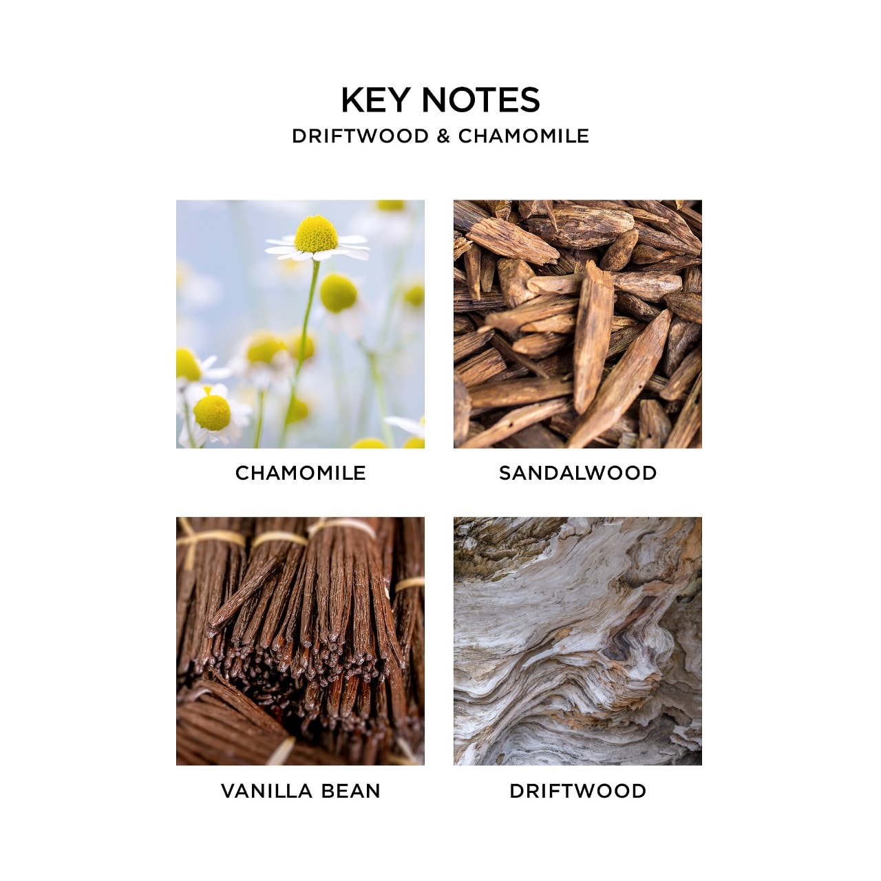 NEST New York Driftwood & Chamomile Wall Diffuser Refill | Hamilton Place