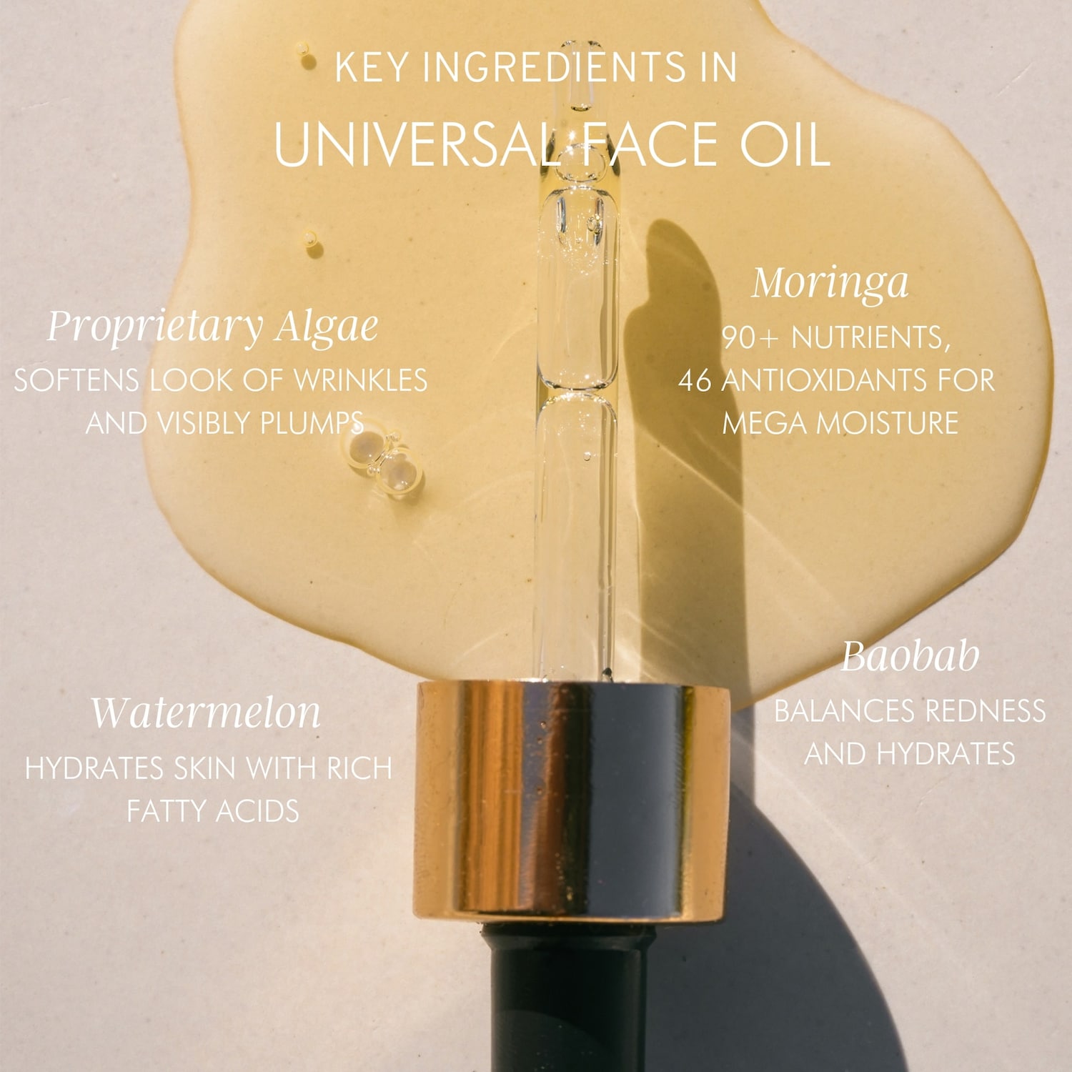 MARA Algae + Moringa® Universal Hydrating Face Oil | Hamilton Place