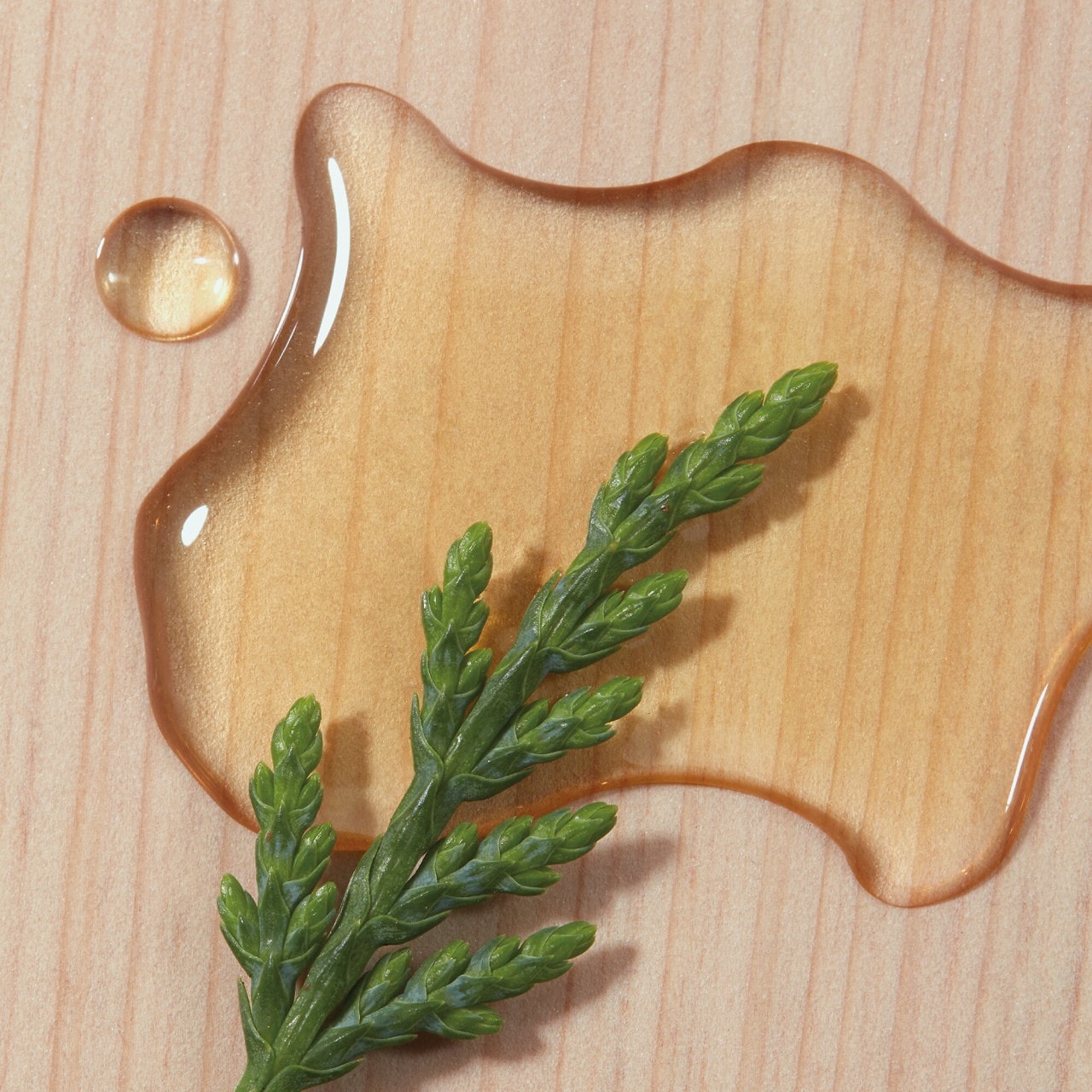 Tatcha Hinoki Hydrating Body Oil | Hamilton Place