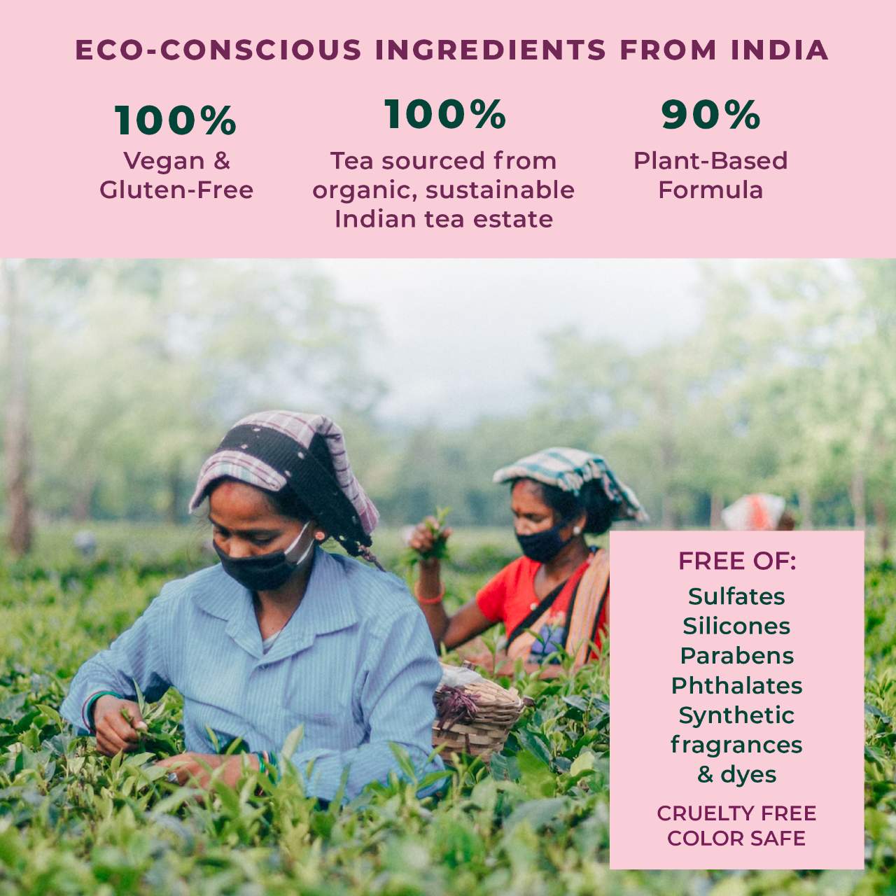 SHAZ & KIKS Rice + Chai Scalp Refresh Spray for Healthy, Hydrated Scalp ...