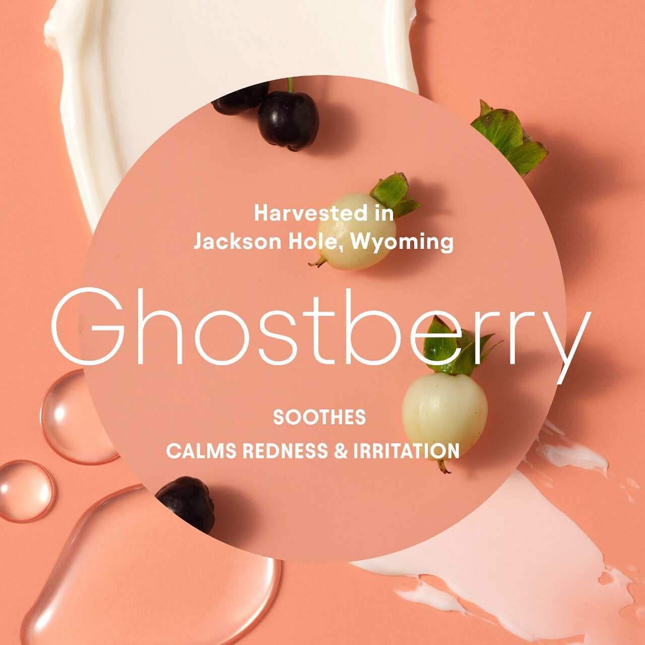 Alpyn Beauty Super Peptide & Ghostberry Moisturizer for Eczema, Barrier ...