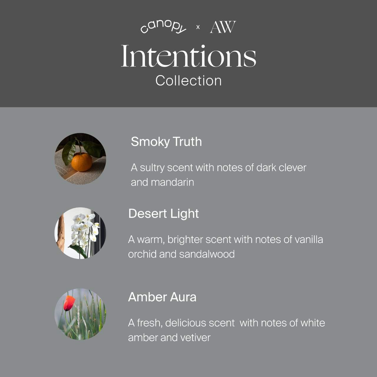 Canopy The Canopy Humidifier For Skin Hydration & Healthy Sleep Bundle ...