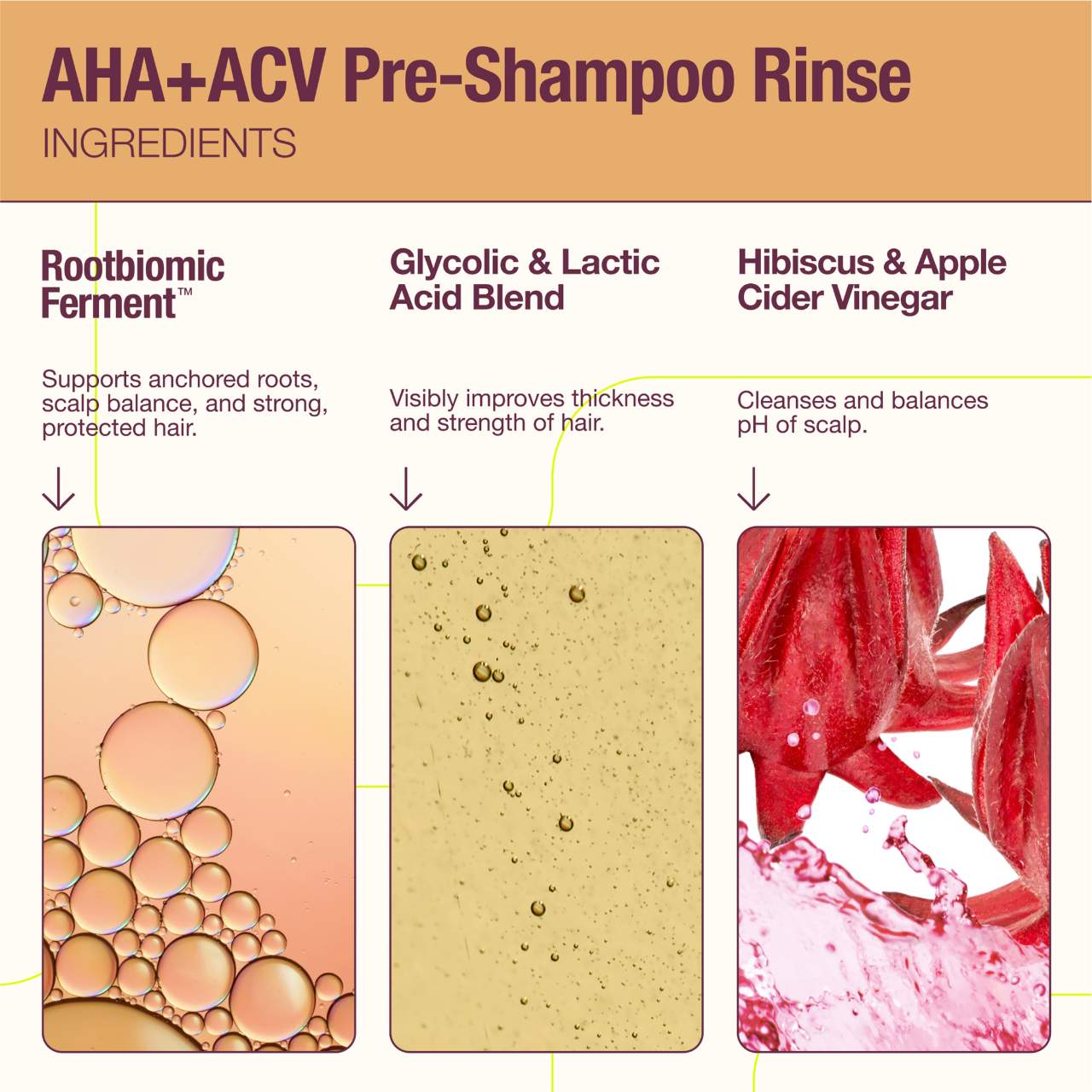 The Rootist Aha+Acv Pre-Shampoo Scalp Clarifying Treatment - Big Apple ...
