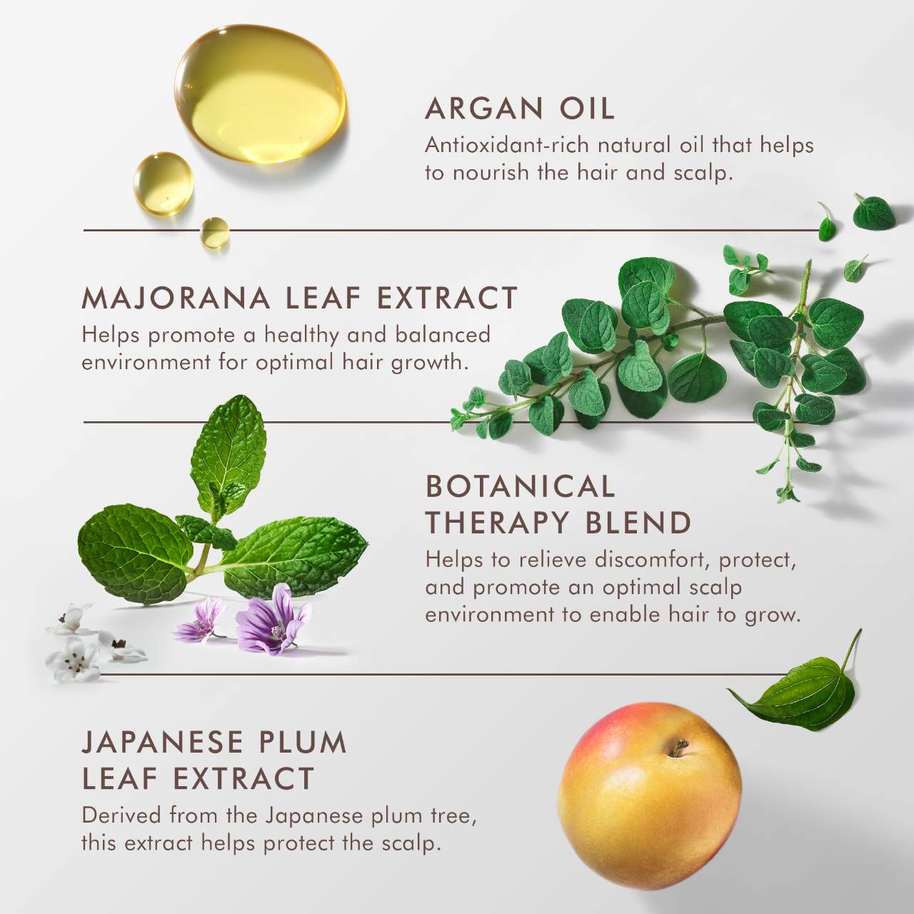 Moroccanoil Revitalizing Scalp Tonic Treatment for Thinning Hair ...
