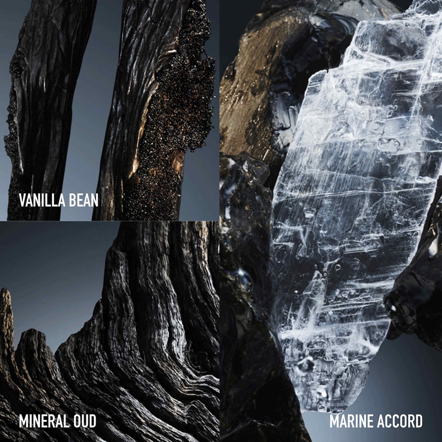 Rabanne Phantom Elixir Parfum Intense | Arden Fair